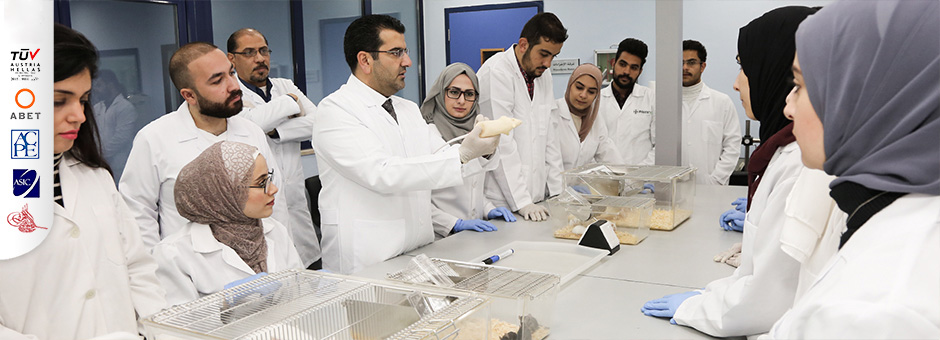 University of Petra | Home